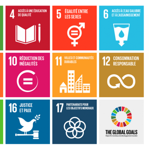 Agenda > Les 17 ODD - Education au développement durable